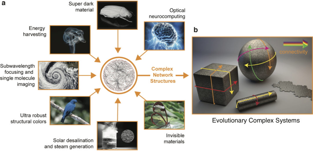 The imitation game | Primalight